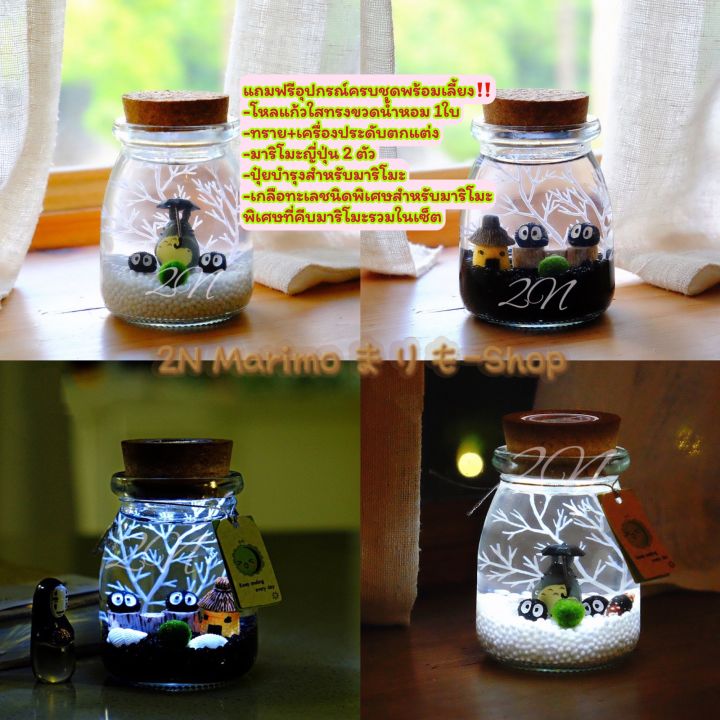 (พร้อมส่ง) มาริโมะ Marimo Set แถมฟรีอุปกรณ์ครบชุดพร้อมเลี้ยง | Lazada.co.th