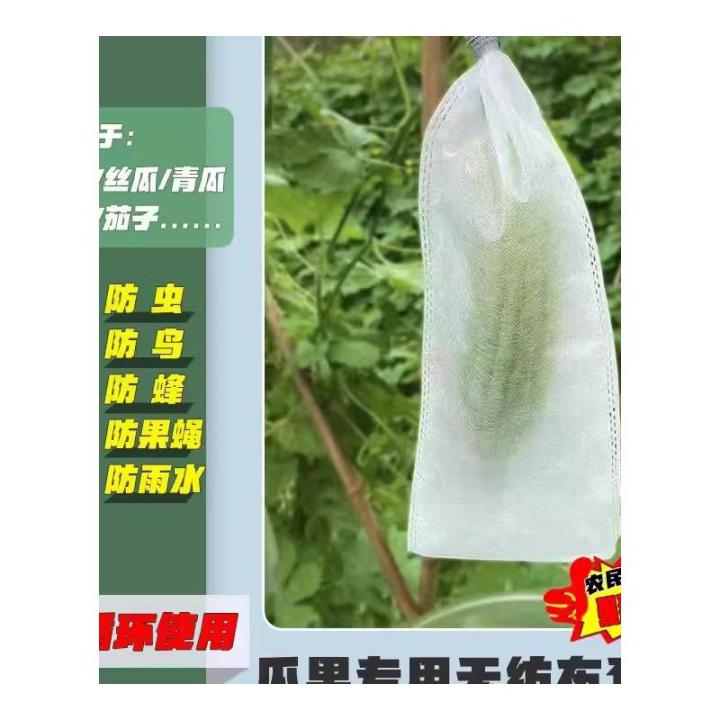Special Bag for Protecting Cucumbers And Bitter Gourds against Birds ...
