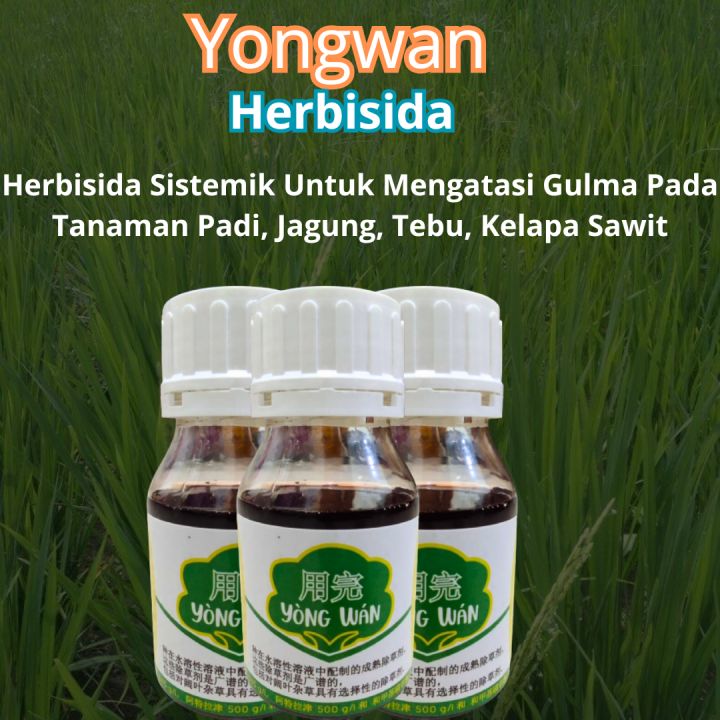 Yong Wan Herbisida Racun Rumput Sistemik Selektif Aman Untuk Tanaman ...