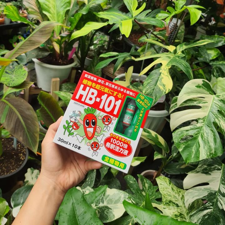 HB101 (10หลอด) ปุ๋ยญี่ปุ่น | Lazada.co.th