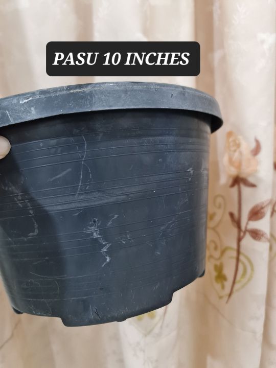 PP Plastic Pot Used Pot Pasu Plastik Terpakai 10" | Lazada