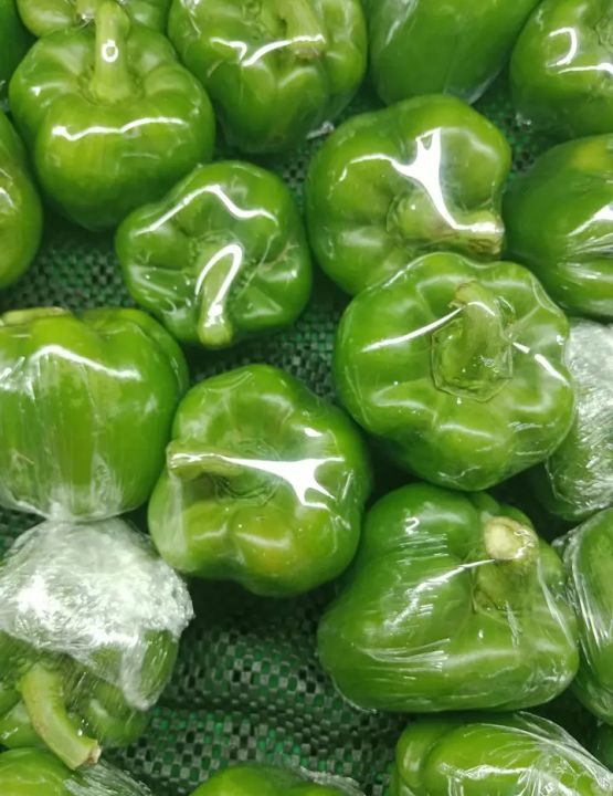 Ready parika hijau /1kg | Lazada Indonesia