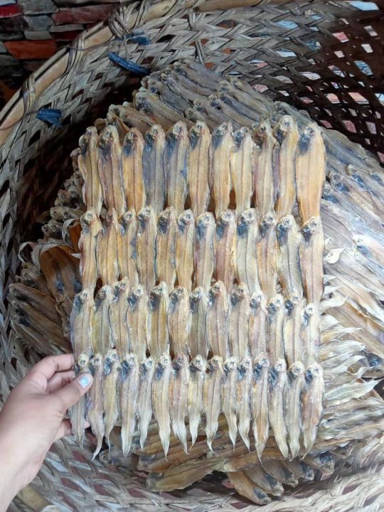 250/500/1000 grams Palad brown or dila2x Matabang From Masbate | Lazada PH