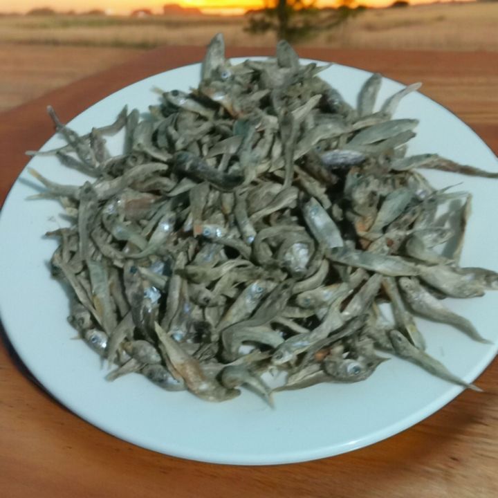 DILIS (Dried Fish) galing Zambales | Abot kayang dilis pang-ulam, hindi ...