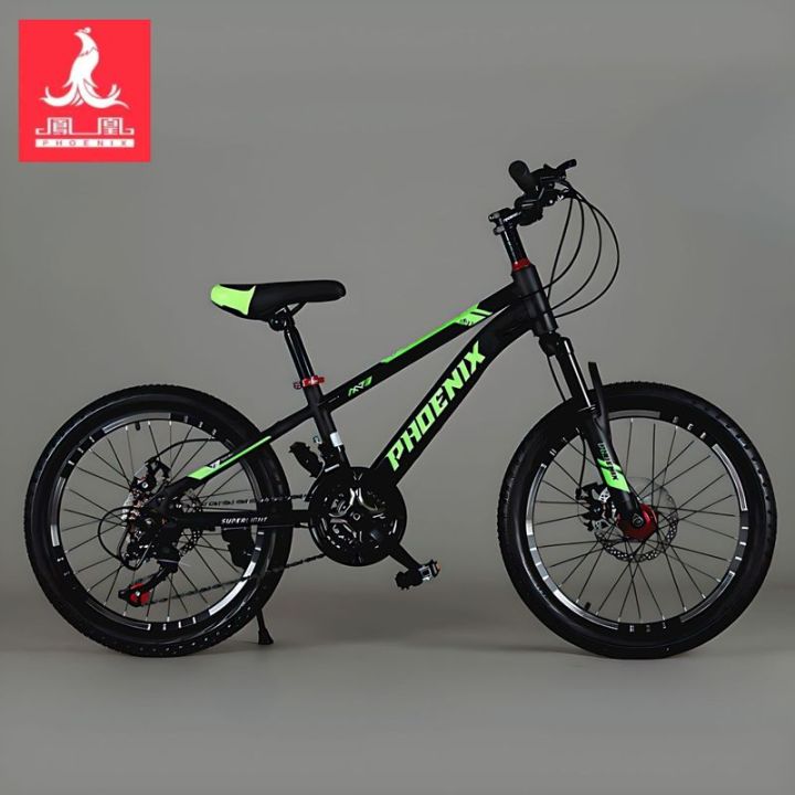 Phoenix Kids Bicycle Boys and Girls Children's 20-Inch 22-Inch Variable ...