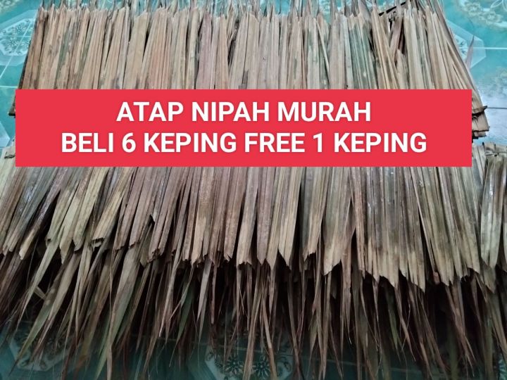 Atap nipah. Nipah leaf 2024 (Harga untuk 2 keping) ready stock. Atap ...