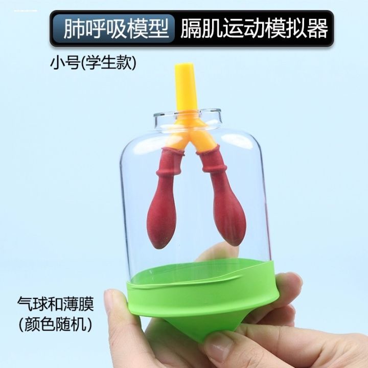 Lung Breathing Smoking Experimental Model Diaphragm Motion Simulator ...