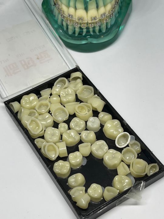 50pcs posterior temporary crown plastic | Lazada PH