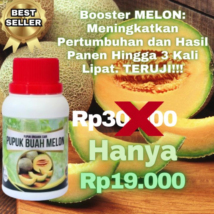 Pupuk Penyubur Melon Pupuk Cair Pembesar Buah Melon Pupuk Organik Cair POC Buah TOP ...