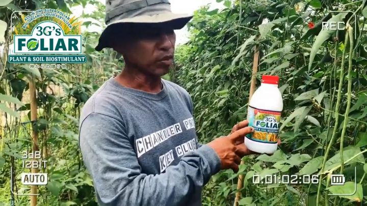 3gs foliar organic liquid all in one fertilizer- 500ml/1 liter | Lazada PH