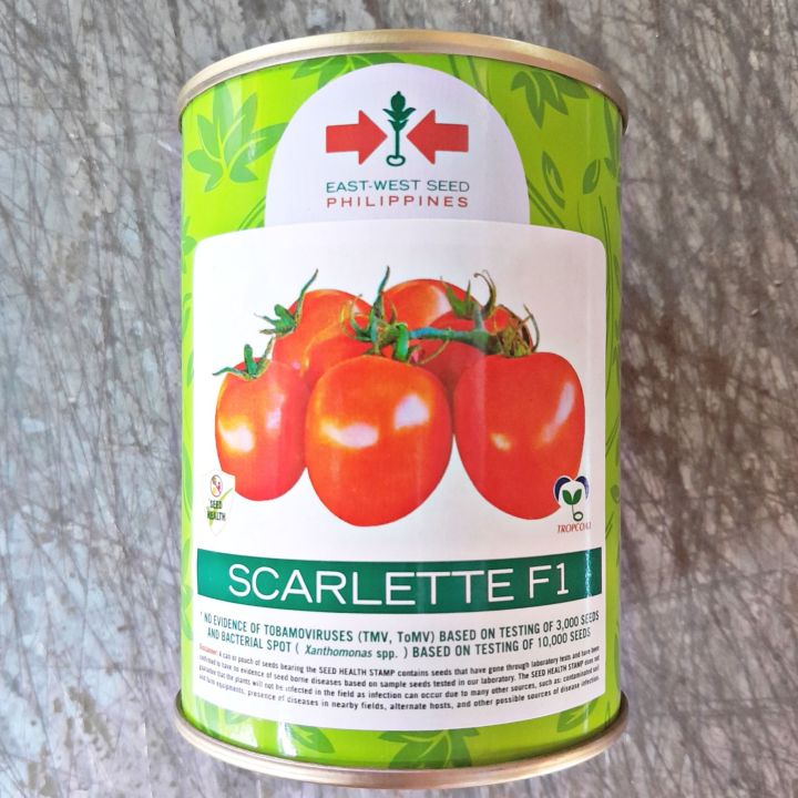 SCARLETTE F1 HYBRID TOMATO SEEDS (8250 SEEDS) by EAST WEST SEED | Lazada PH