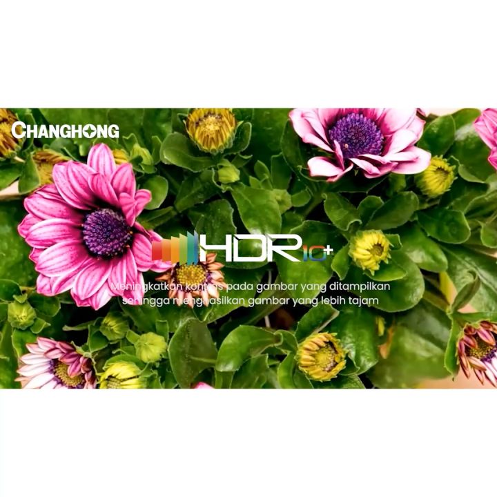 Changhong QLED TV 50 inch 4K Google TV Smart TV Dolby Audio DBX-TV Play ...