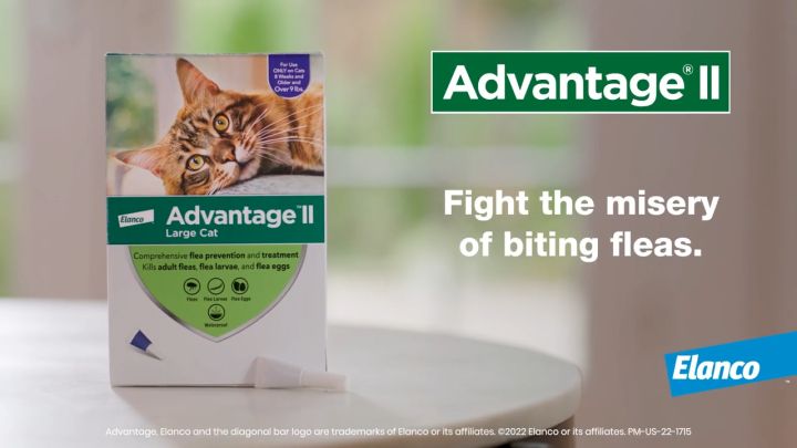 Elanco Advantage Cat Spot On - S 1.6ML (0.4ml x 4 pipet) Flea Treament ...