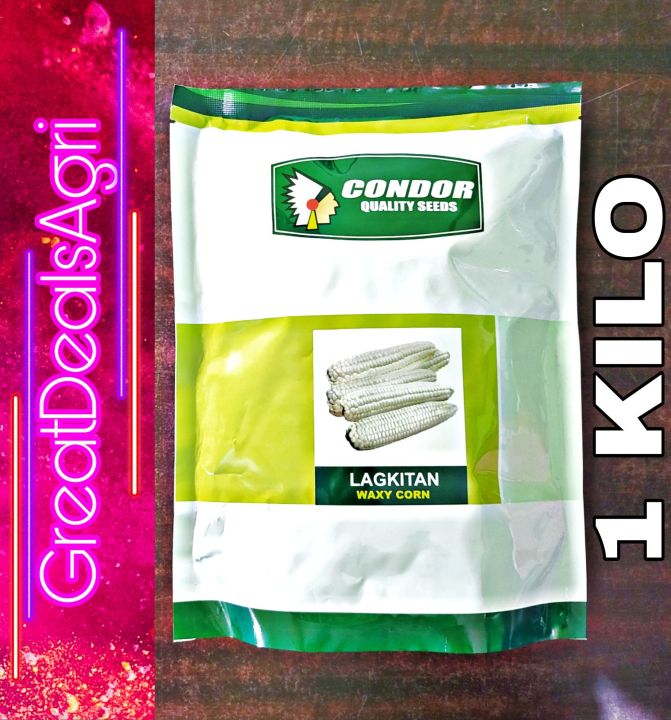 LAGKITAN CORN OPV WAXY CORN (1 KILO) CONDOR SEEDS | Lazada PH