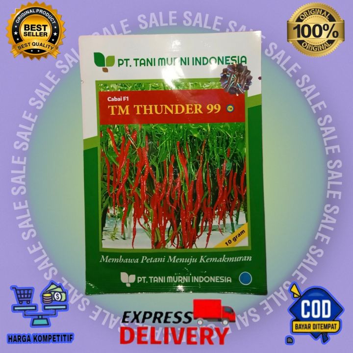 Cabe F1 TM Thunder 99 Benih Cabai Keriting Tani Murni Seed Kemasan 10 ...