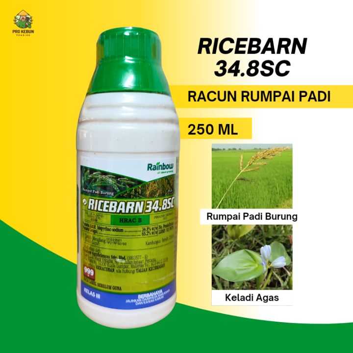 Ricebarn 34.8SC Herbicide Racun Rumpai Padi Racun Rusiga Emas Racun ...
