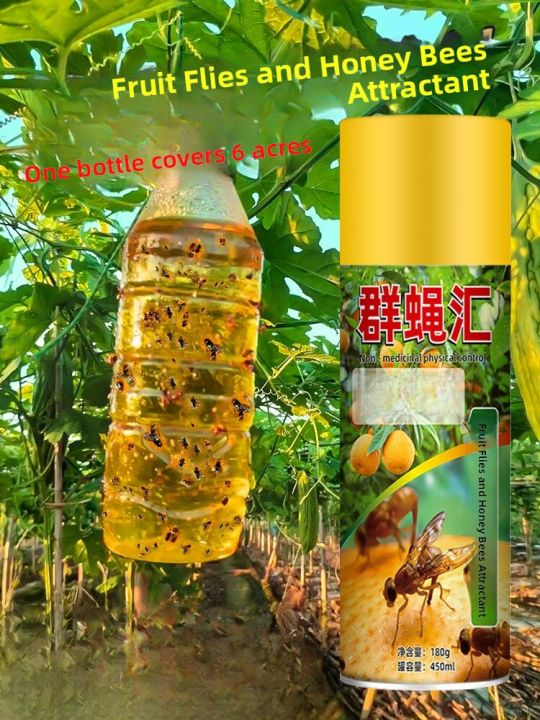 MONLEYTA | Melon Fruit Fly Trap Sticky Lure Small Flying Insect Killer ...