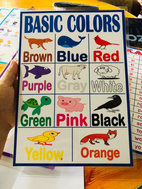 Basic colors Chart | Lazada PH