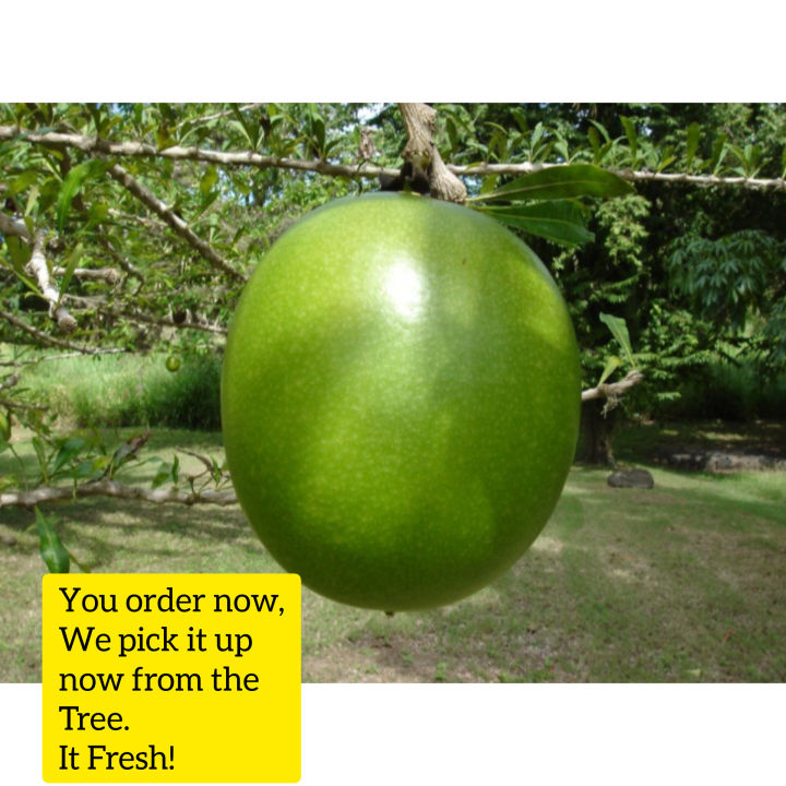 Calabash Fresh Miracle Fruit 3kls plus | Lazada PH