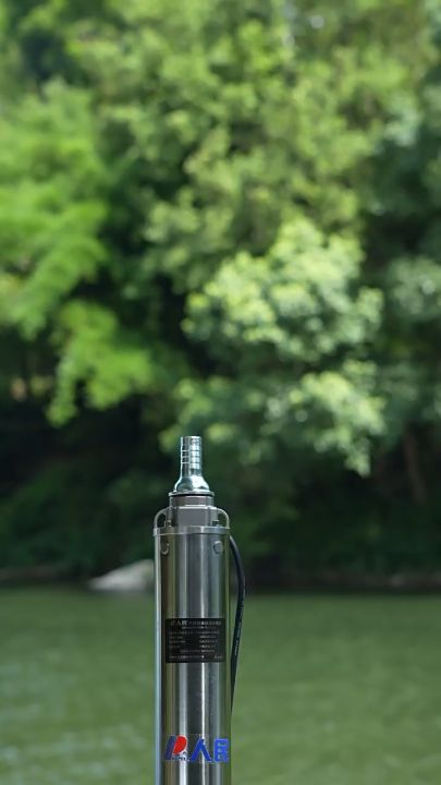 220V 60Hz 2'' Submersible Pump1HP Single-Phase Stainless Steel Deep ...