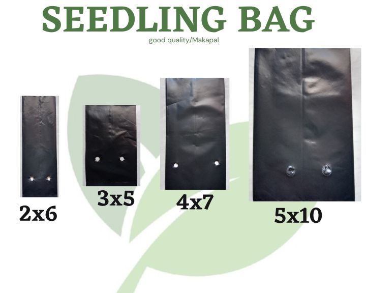 Seedling bag for Vegetable plant | Lazada PH