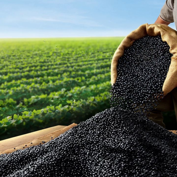 Bango Kecap Manis 520ml / 720gr isi 12 [Karton] | Lazada Indonesia