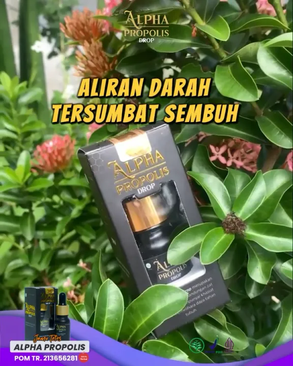 Alpha Propolis Isi 10 ml Multivitamin Bersertifikasi Bpom Halal ...