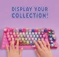 Clickeez Keyboard Mega Pack -The Ultimate Starter Set Storage Keyboard ...