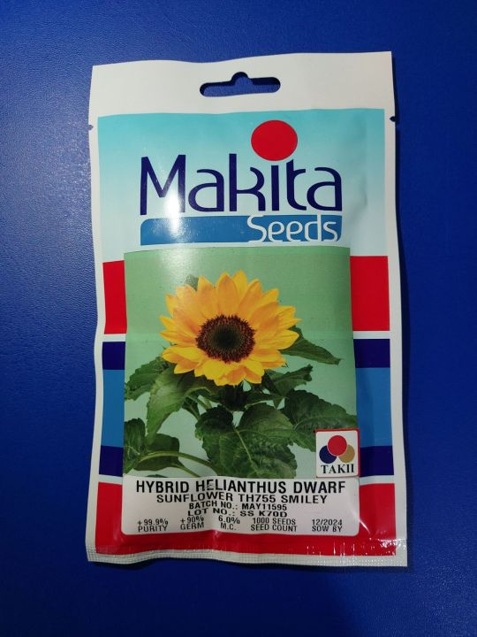 SUNFLOWER SMILEY (1000 Seeds) Hybrid Helianthus Dwarf | Lazada PH