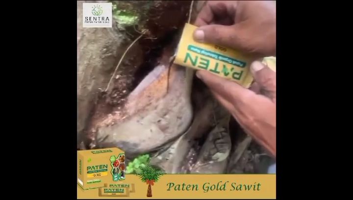 Pupuk Paten Gold Sawit Paket 1/2 Hektar (5 box) | Lazada Indonesia