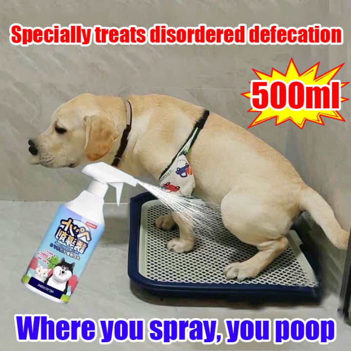 Dog Pee Training Spray 500ML Dog Potty Trainer Spray Potty Trainer Dog ...
