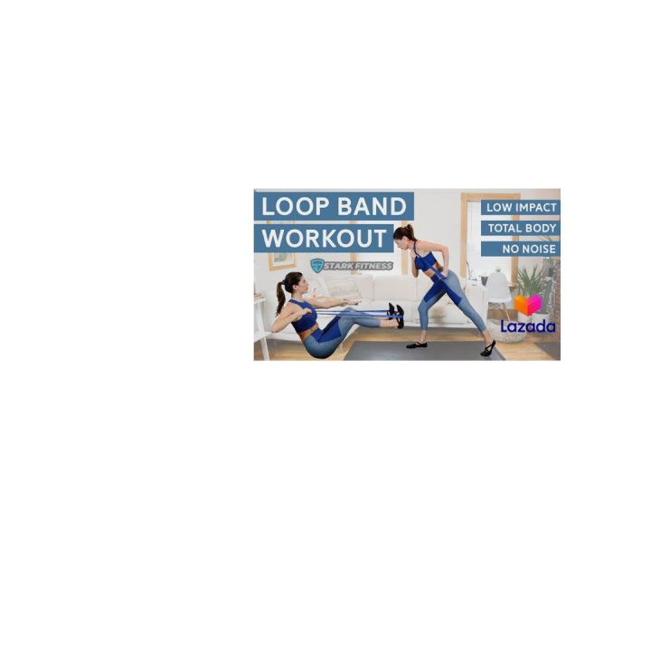 Stark Fitness Resistance Loop Band | Lazada PH