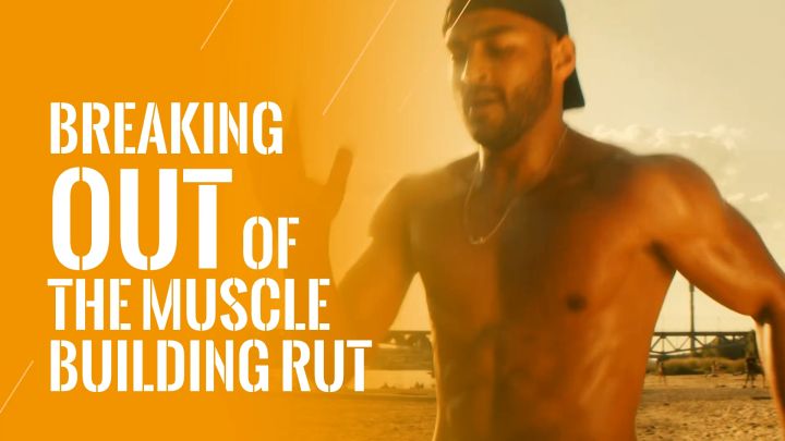 Catfit Creatine Monohydrate Powder Post Workout Faster Muscle Recovery ...