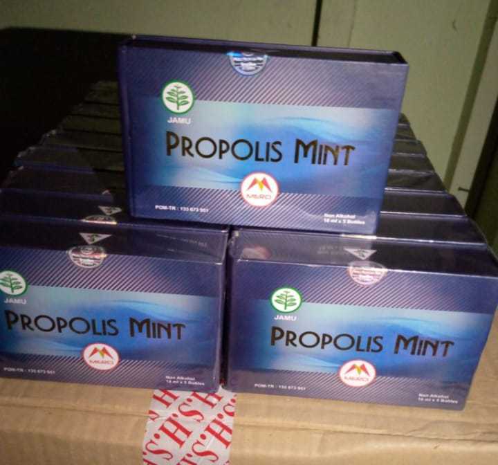 Merci propolis mint original 1 bok isi 5 botol | Lazada Indonesia