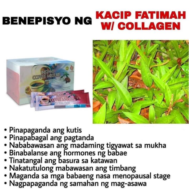 Collagen with kacip fatimah herbal coffee | Lazada PH