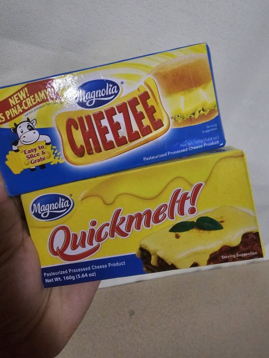 MAGNOLIA CHEESE 160g | Lazada PH