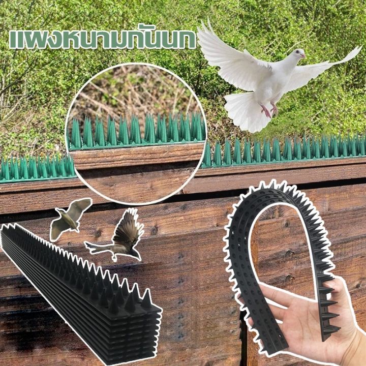 【select_sea】แผงหนามกันนก กันนกเกาะที่กันแมว อุปกรณ์เข็มพลาสติกไล่นก ...