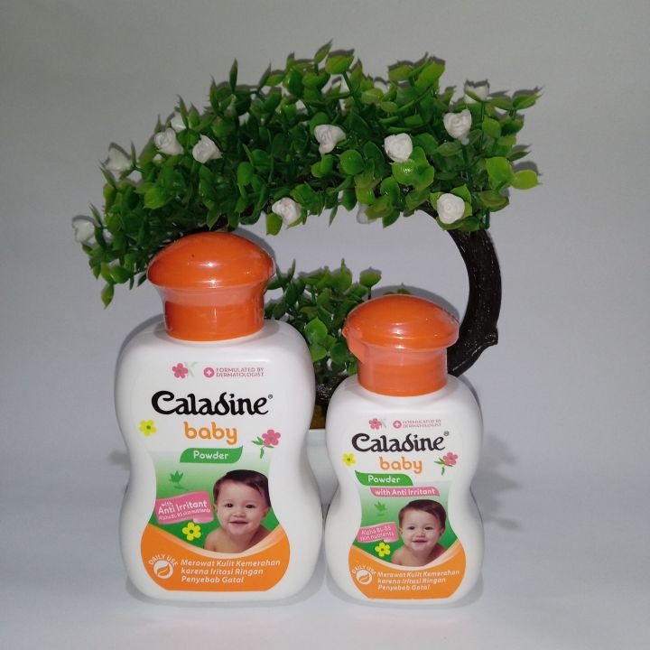 Caladine Baby Powder With Anti Iritant 100 g dan 55 g | Lazada Indonesia