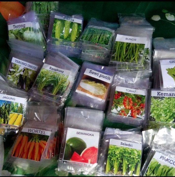 Benih Sayuran Mudah Tumbuh | Lazada Indonesia