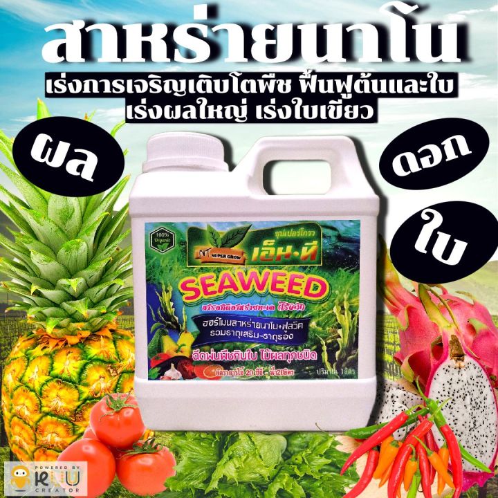 🌿สาหร่ายนาโน🌿เปิดตาดอก🌿เร่งใบเขียว🌿เพิ่มขนาดผล🌿แกลลอน1ลิตร🌿ฉีดพ่นใบรถ ...