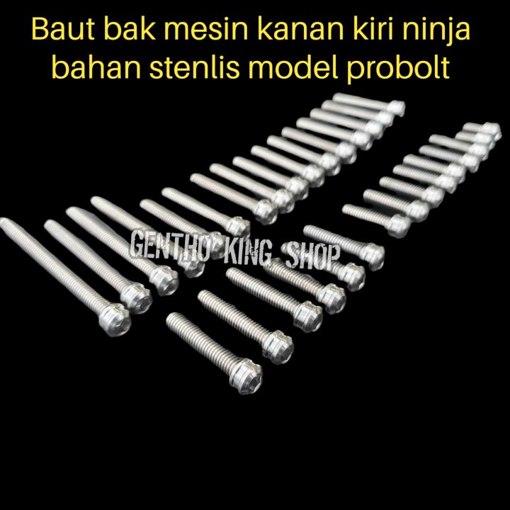 BAUT STENLIS BAK KOPLING MAGNET NINJA R RR SS MODEL TITANIUM | Lazada ...
