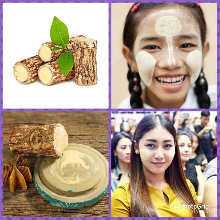 THANAKHA BARK ORIGINAL FROM MYANMAR BIG SIZE | Lazada