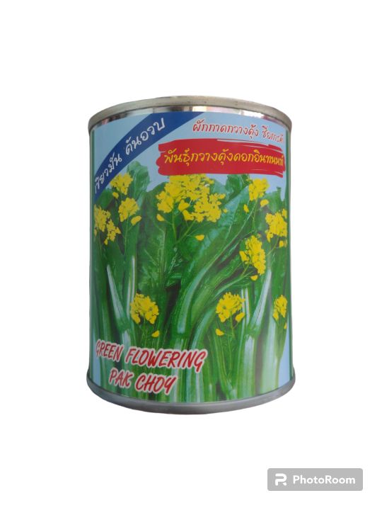 ผักกาดกวางตุ้ง พันธุ์กวางตุ้งดอกอินทนนท์ GREEN FLOWERING PAK CHOYเขียว ...