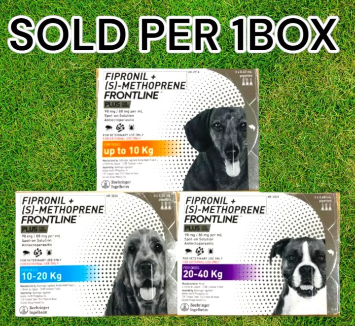 Frontline Plus for Dog (SOLD PER BOX 3 Pipette) | Lazada PH
