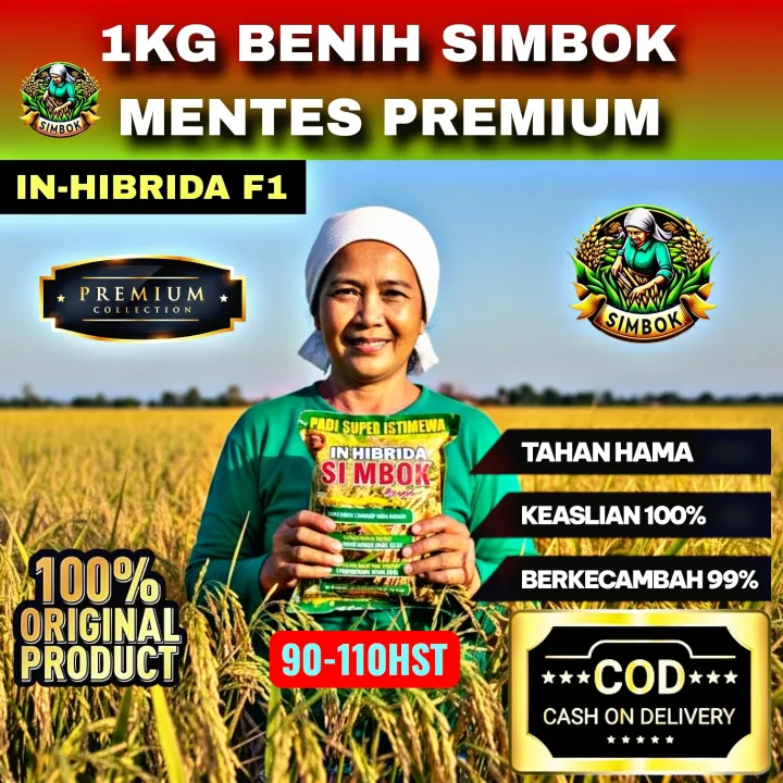 (1kg) BENIH PADI SIMBOK MENTES IN-HIBRIDA F1 PREMIUM SUPER UNGGUL ...