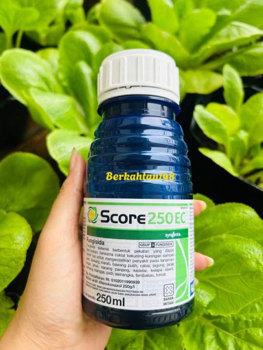 Fungisida Score 250EC 250ml | Lazada Indonesia