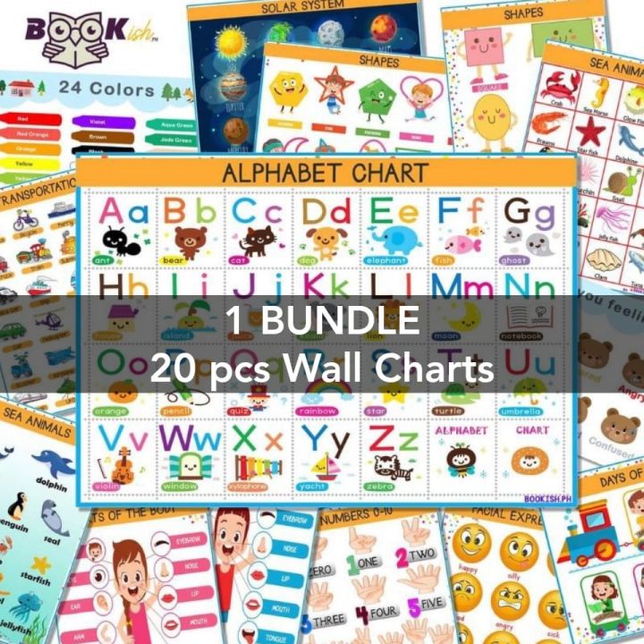 1 Bundle Educational Laminated Wall Chart for Kids | Lazada PH