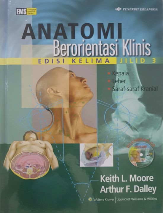 [ Original ] Anatomi Bororientasi Klinis Jilid 3 ed5 - Keith L. Moore ...