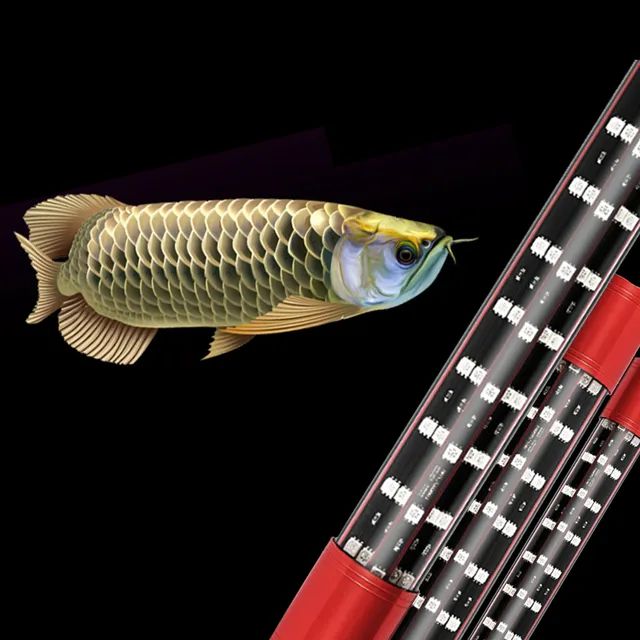 Submersible Aquarium Light YaoRui T12 5D 5 Rows Submersible Light for ...