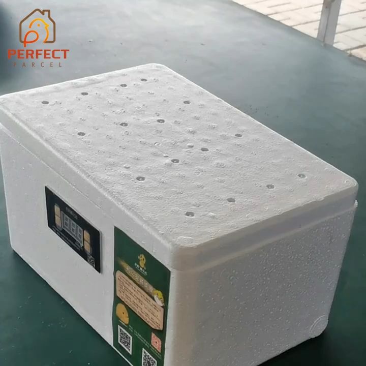 22/32/42 Eggs Automatic Family Egg Incubator Digital Chicken Duck ...
